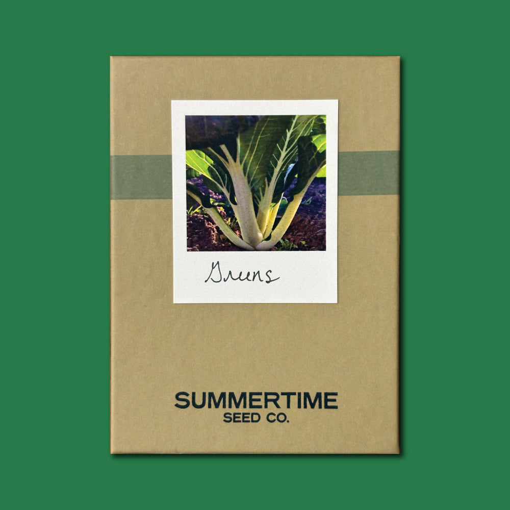 Greens Gift Box – Summertime Seed Co.