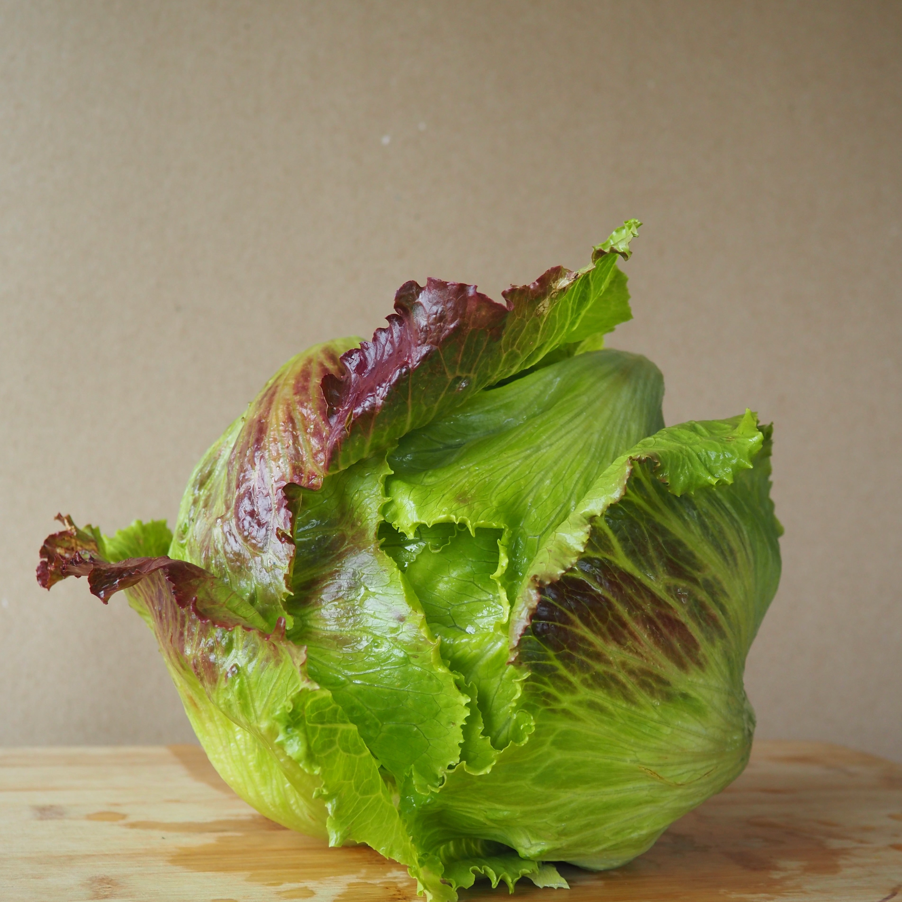 Lettuce ⁃ Organic Seed - Red Iceberg – Summertime Seed Co.