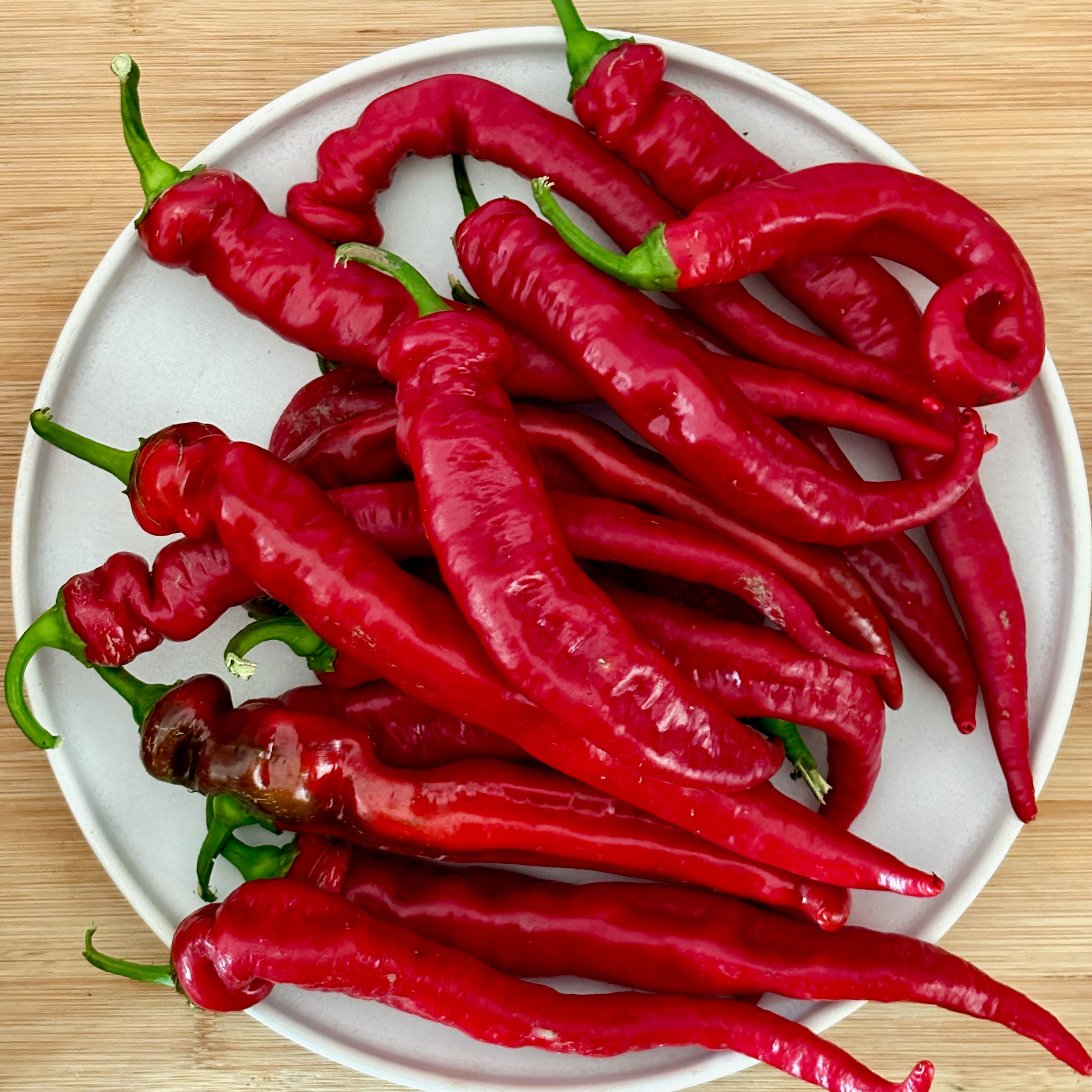 Pepper ⁃ Organic Seed - Jimmy Nardello – Summertime Seed Co.